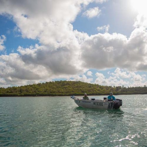 Barra Bash 2022 Recap - Frenchville Sports Club