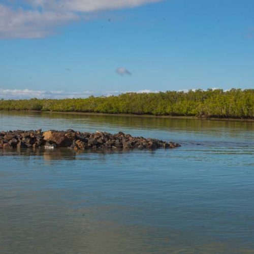 Barra Bash 2022 Recap - Frenchville Sports Club